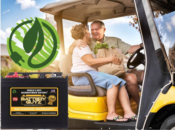 Battery Guyz Golf Cart & All Battery Desulfator to Extend Battery Life